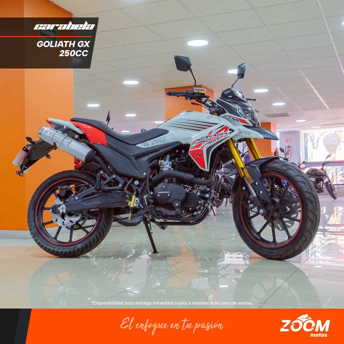 Goliath 250 – zoommotos