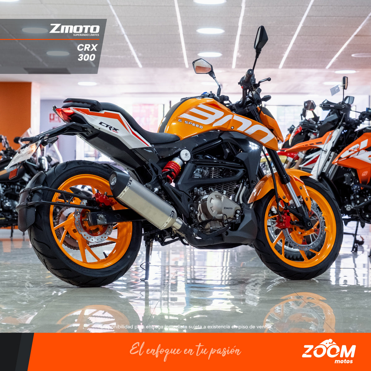 CRX 300 – zoommotos